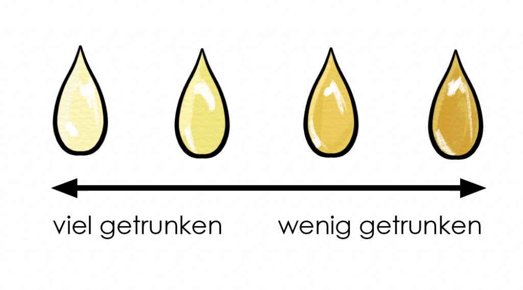 Lernkarte - Pipi (Urin) abgeben | Meicla Design